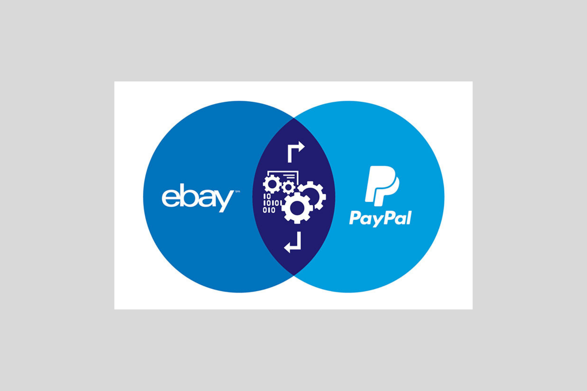 The Success Story of PayPal [Infographic from Play-N-Pay] - Sift